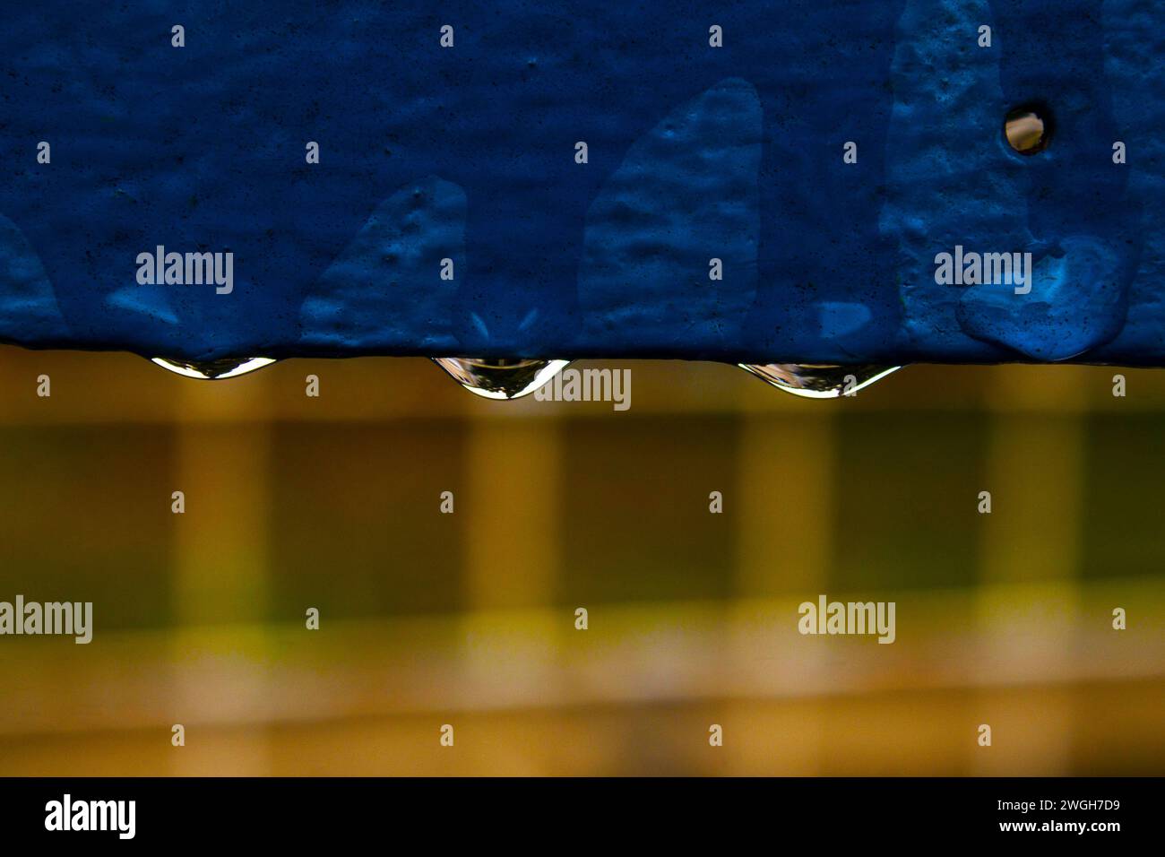Rain drops hanging from the blue gate Stock Photo - Alamy