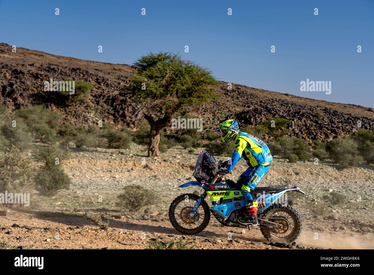 Martin prokes hi-res stock photography and images - Alamy