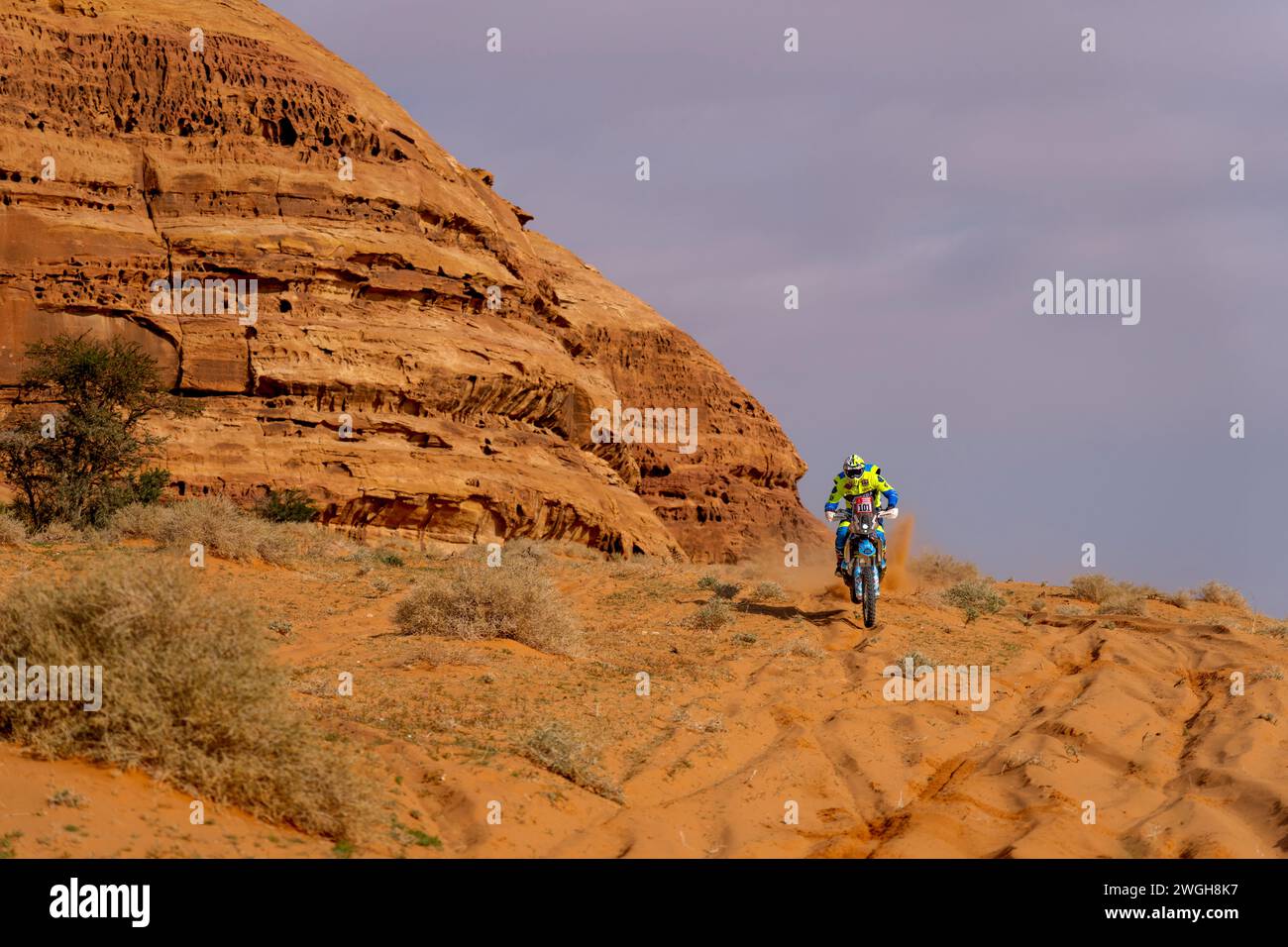 Martin prokes hi-res stock photography and images - Alamy