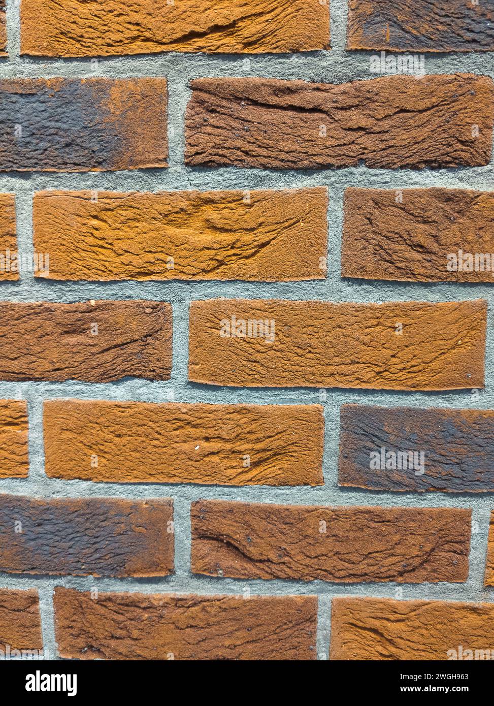 Detailed seam hi-res stock photography and images - Alamy