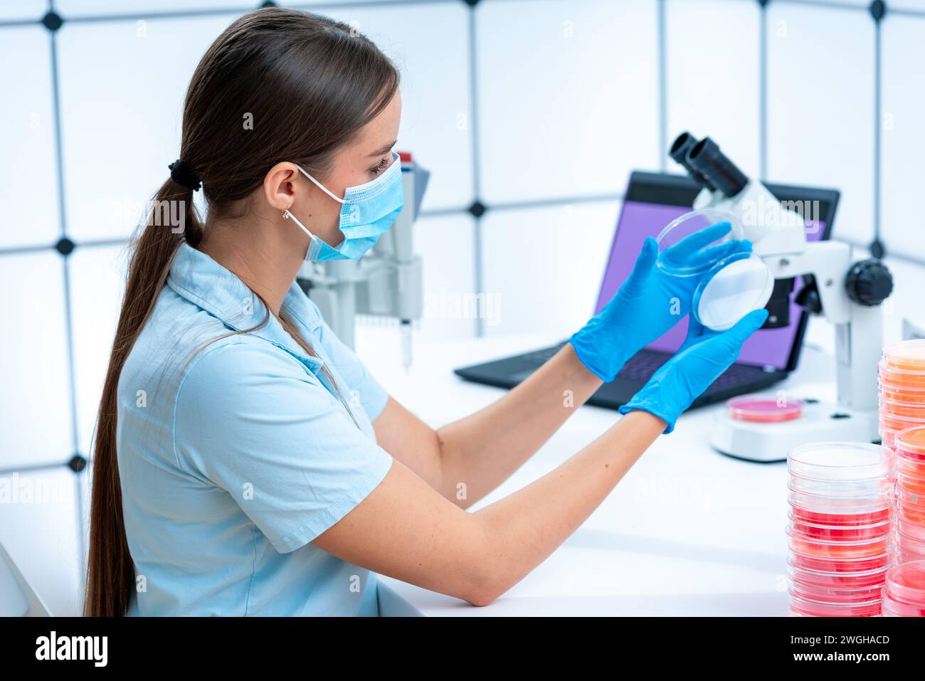 Antibiotic susceptibility testing: Petri dishes are used to perform ...