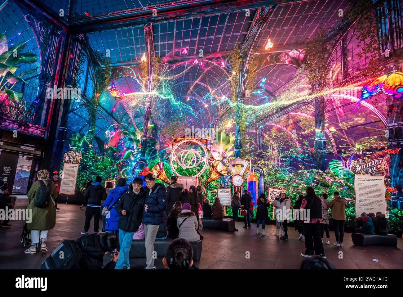 People watching The Butterfly Trail, an immersive video at The Now ...