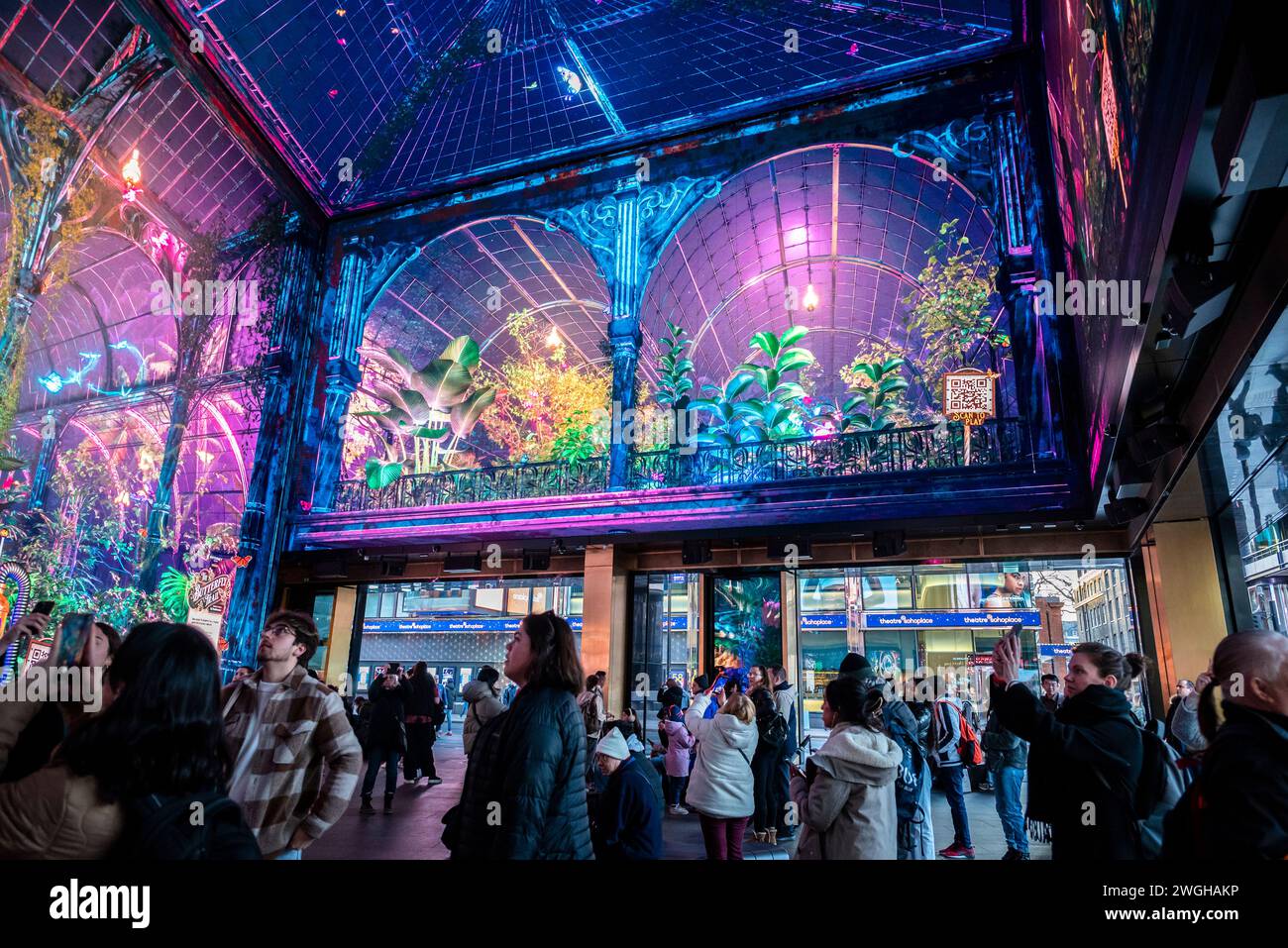 People watching The Butterfly Trail, an immersive video at The Now ...