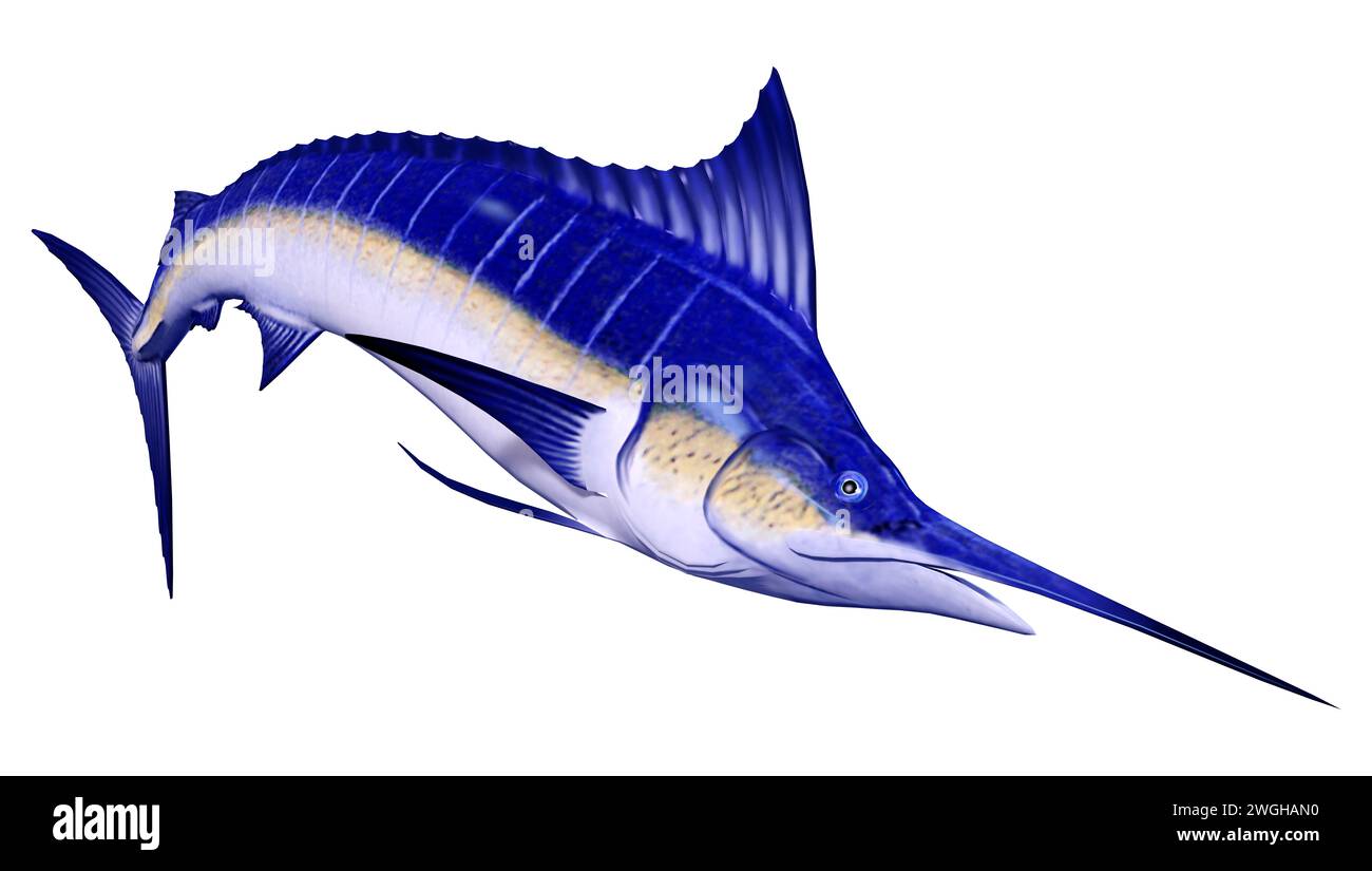 3D rendering of a marlin fish isolated on white background Stock Photo ...