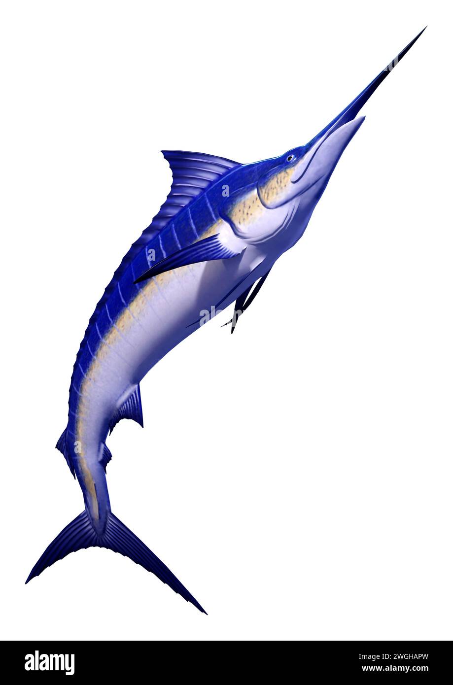 3D rendering of a marlin fish isolated on white background Stock Photo ...