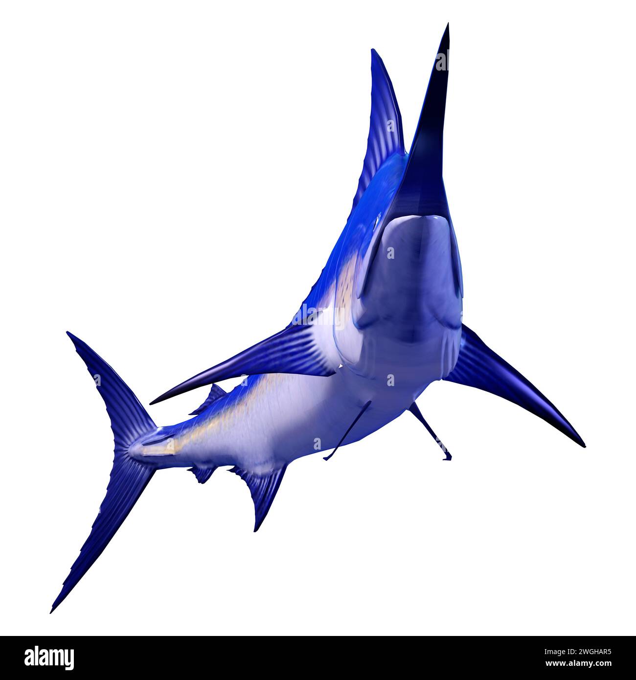 3D rendering of a marlin fish isolated on white background Stock Photo ...
