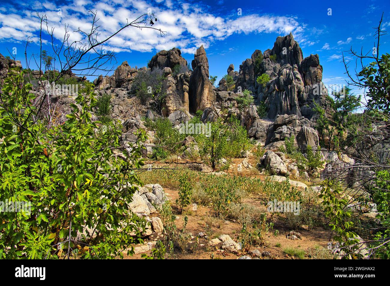 Weathered remnants of a limestone Devonian reef in the outback of ...