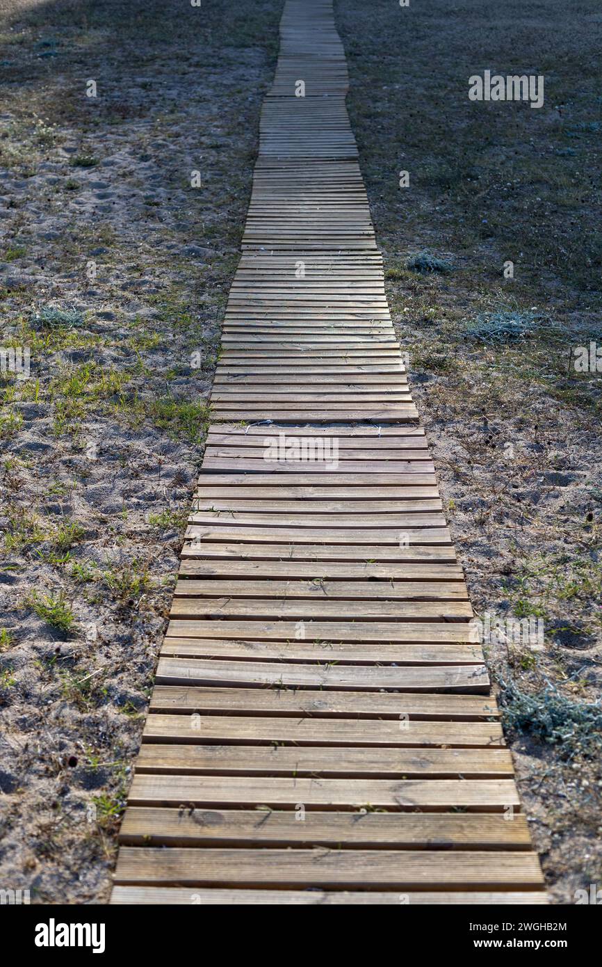 wooden planks path on sand beach Stock Photo - Alamy