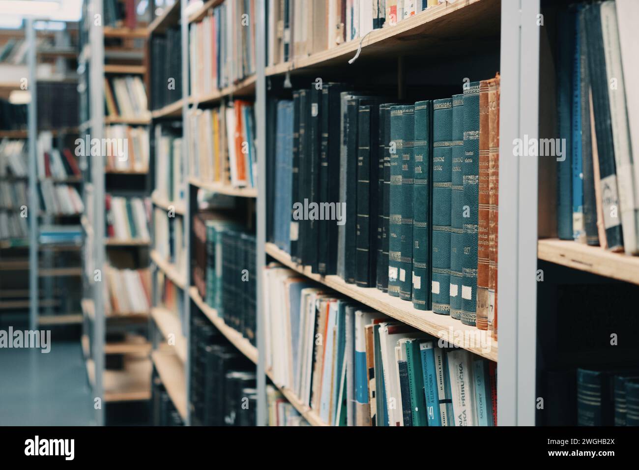 Library of Knowledge: Orderly Rows of Books in an Educational Setting ...