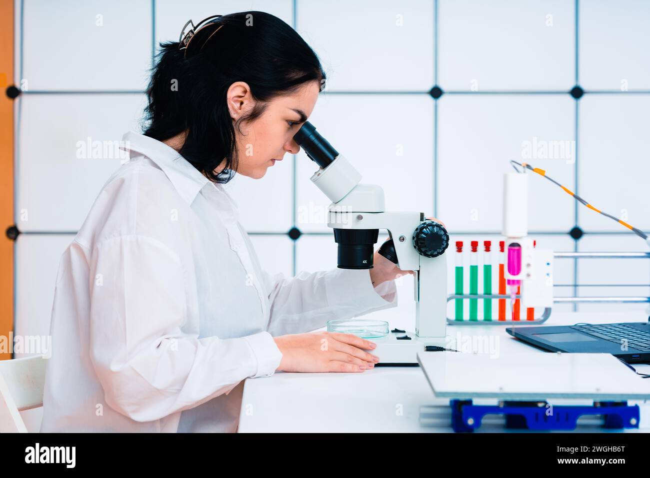 Scientist Conducting Scientific Experiment in Laboratory Stock Photo ...