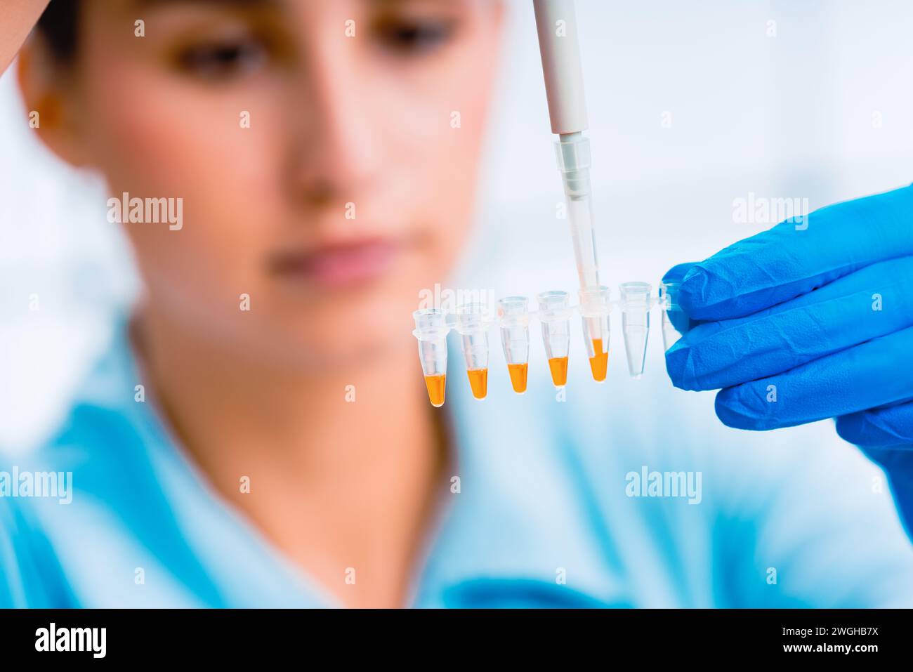 Close-up of Scientist Conducting Scientific Experiment with Test Tube ...
