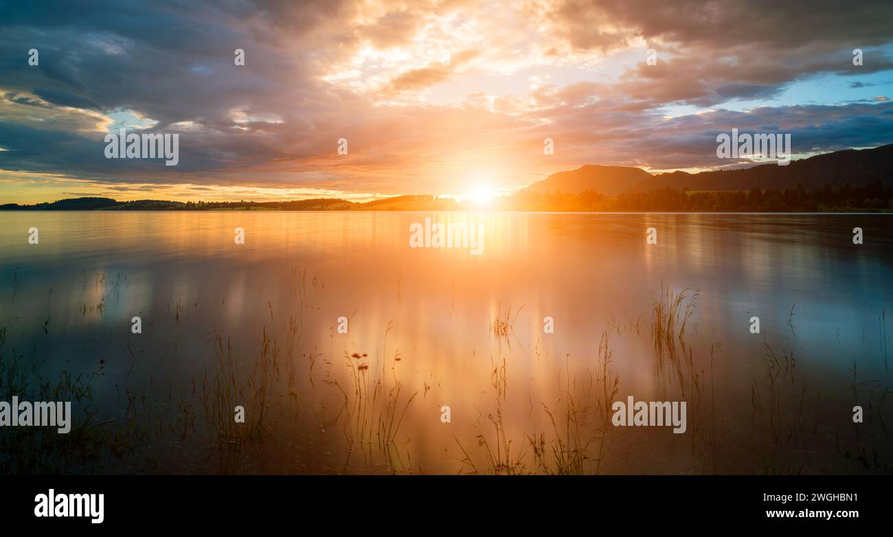 A peaceful waterfront with serene reflections under a bright, sunny sky ...