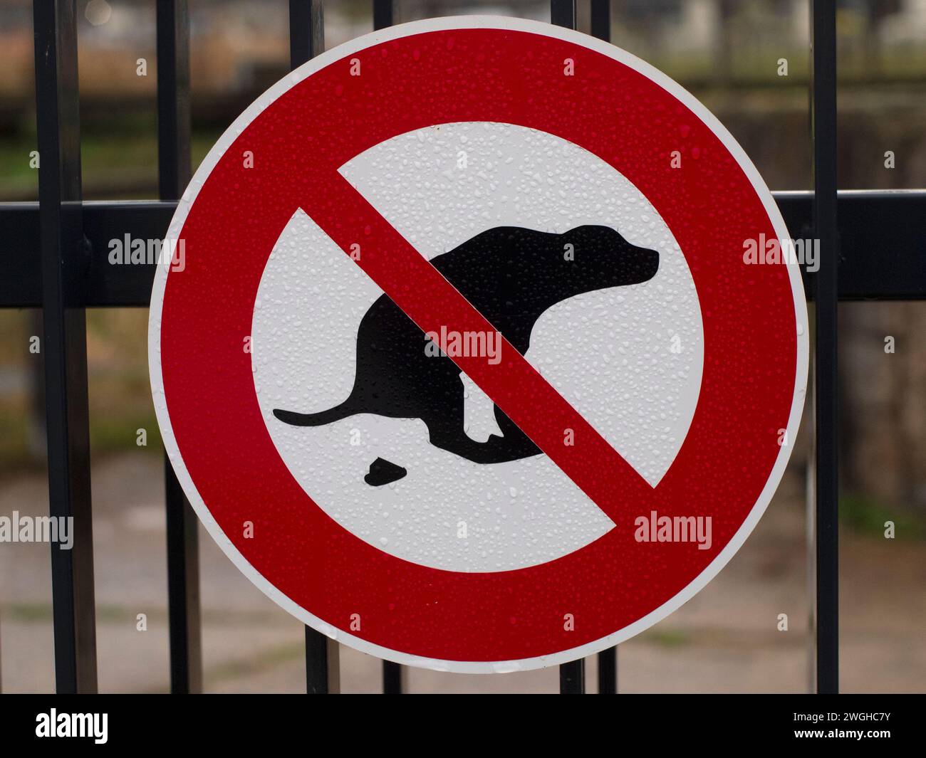 'No dog pooping' sign at a park in Normandy, France Stock Photo - Alamy