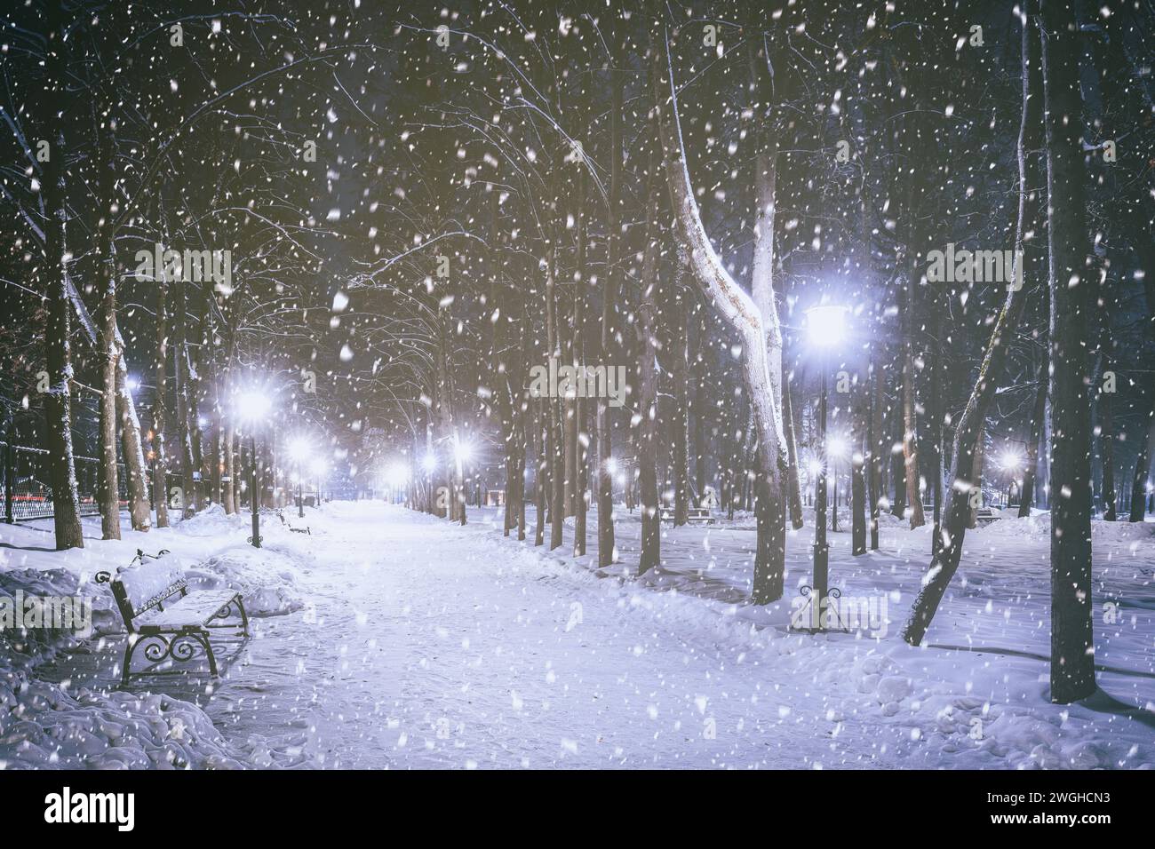 Snowfall in a winter park at night with glowing lanterns, benches ...