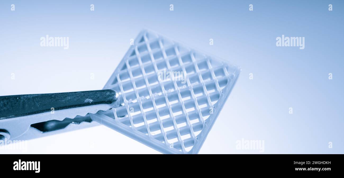 Acoustic Metamaterials These Materials Are Designed To Control Sound Waves Enabling The