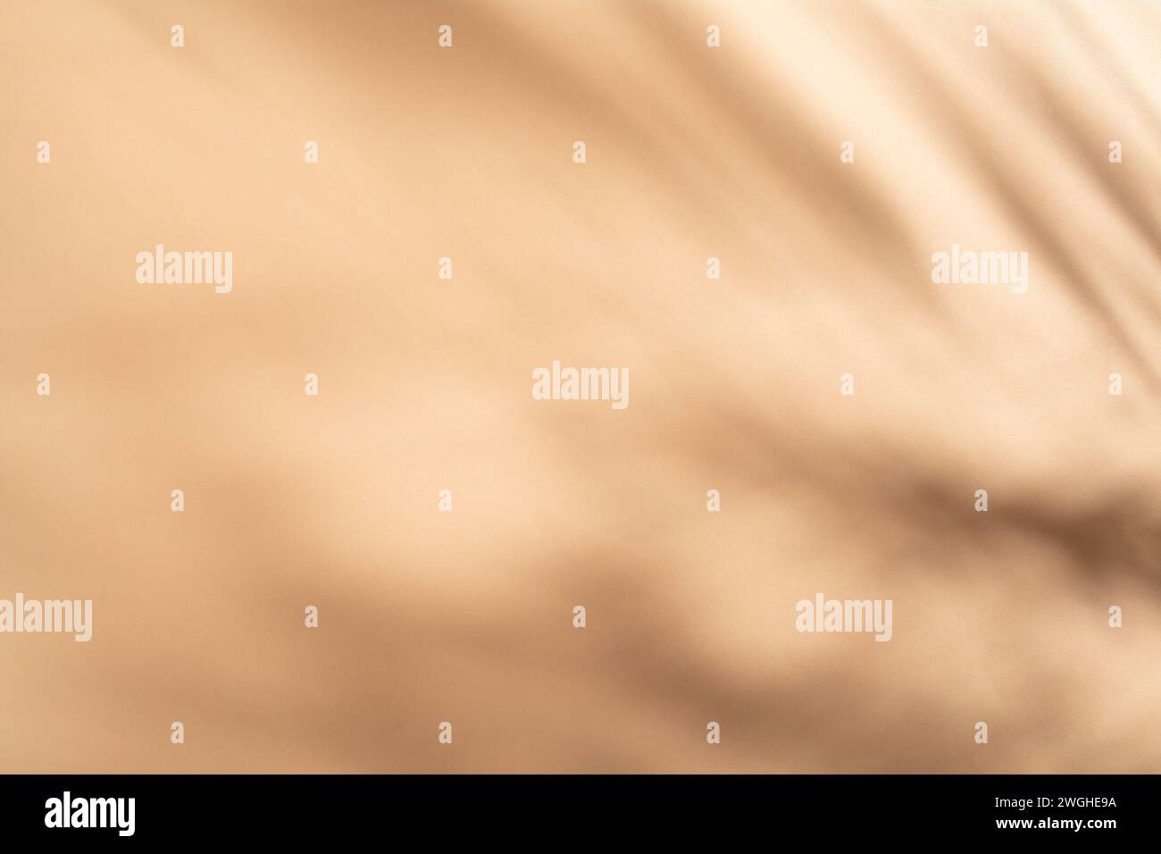 2024 color hi-res stock photography and images - Alamy