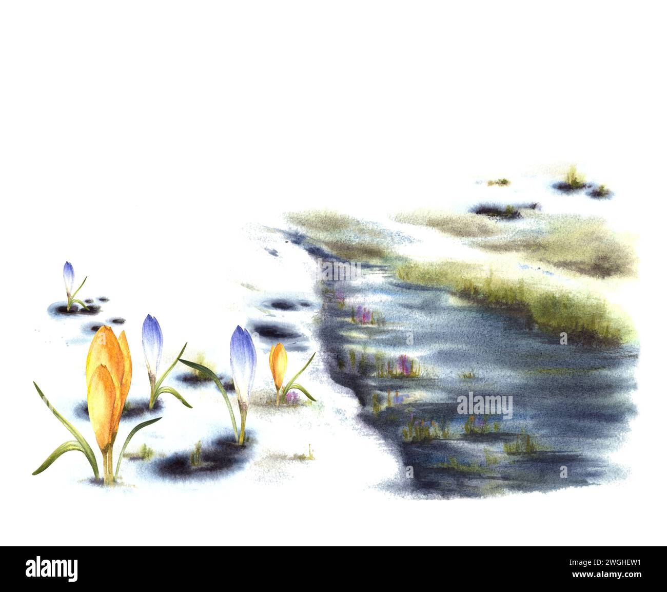 Watercolor landscape arrival of spring Primary plants flowers, melting ...