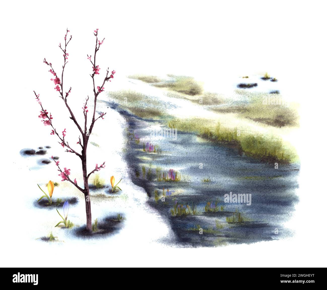 Watercolor landscape Primary plants flowers, blossoming spring trees of ...
