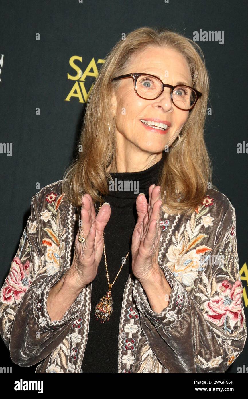 Burbank, USA. 04th Feb, 2024. LOS ANGELES - FEB 4: Lindsay Wagner at the 2024 Saturn Awards at ...