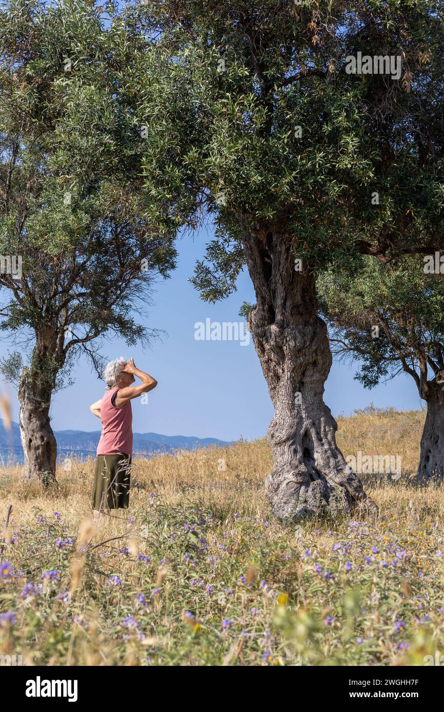Our lady of the dry tree hi-res stock photography and images - Alamy