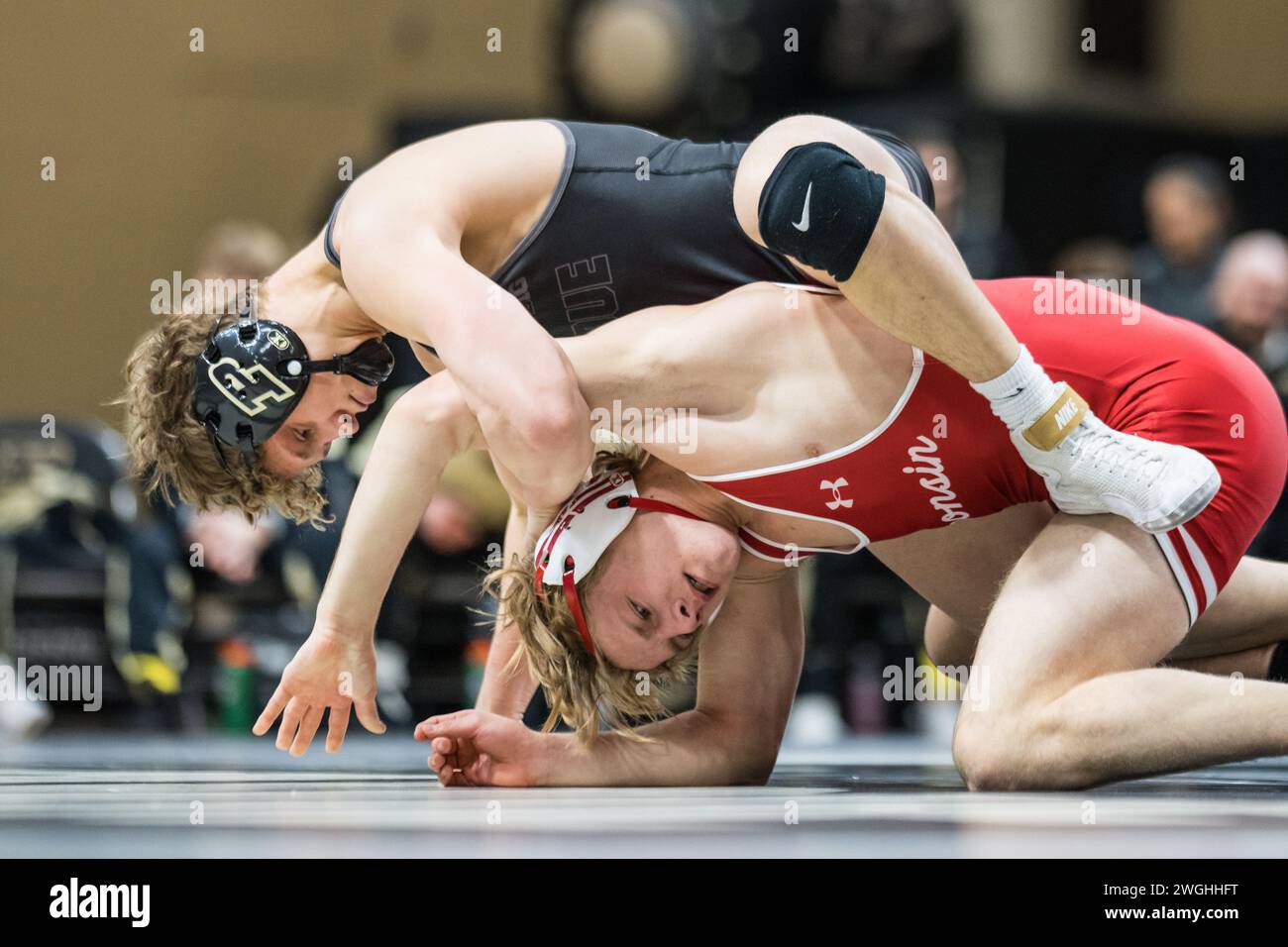 Cody gymnasium hi-res stock photography and images - Alamy