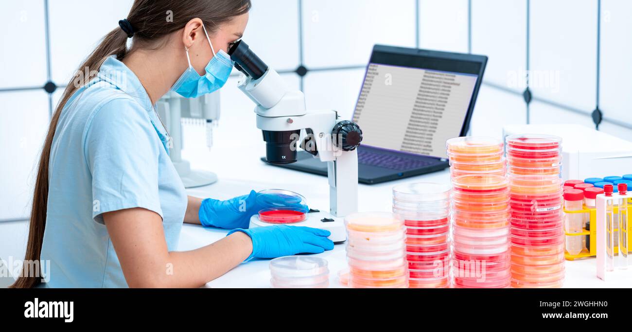 Gene expression analysis: Petri dishes are used in genetics research to ...