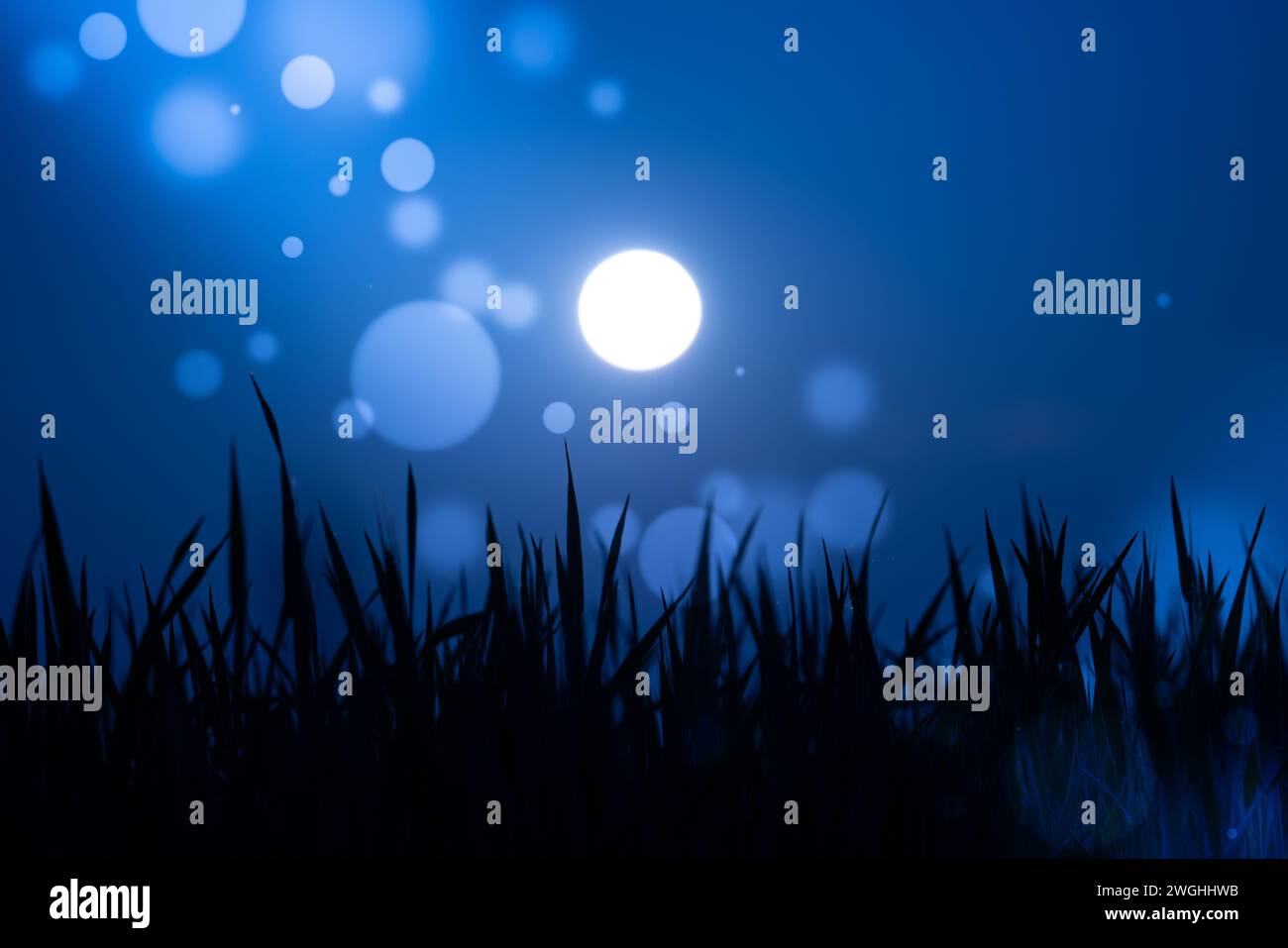 Peaceful Midnight Tranquility: Celestial Beauty in Nature with Moonlit ...