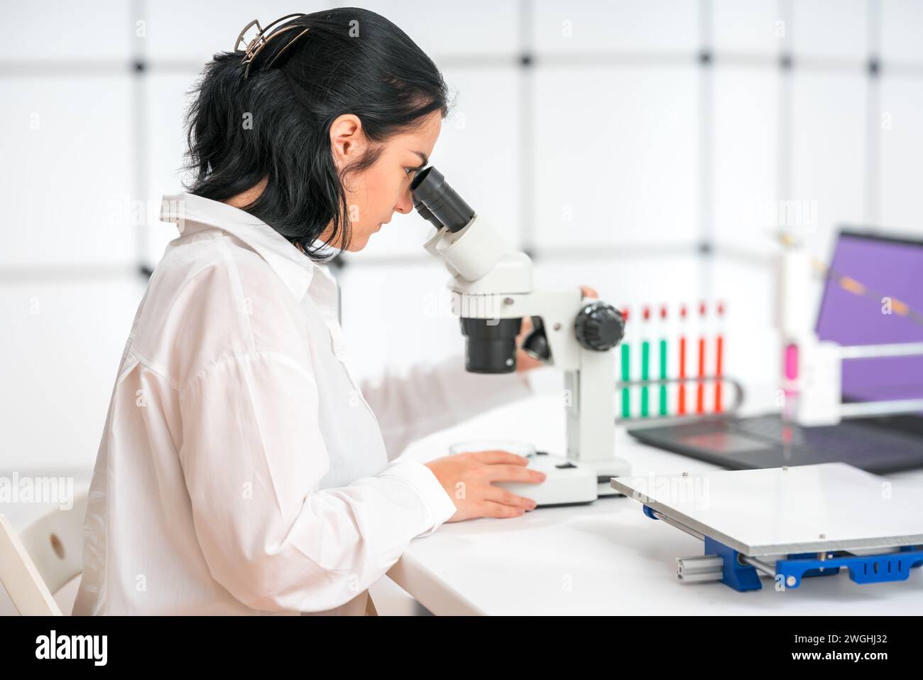 Scientist conducting an experiment hi-res stock photography and images ...