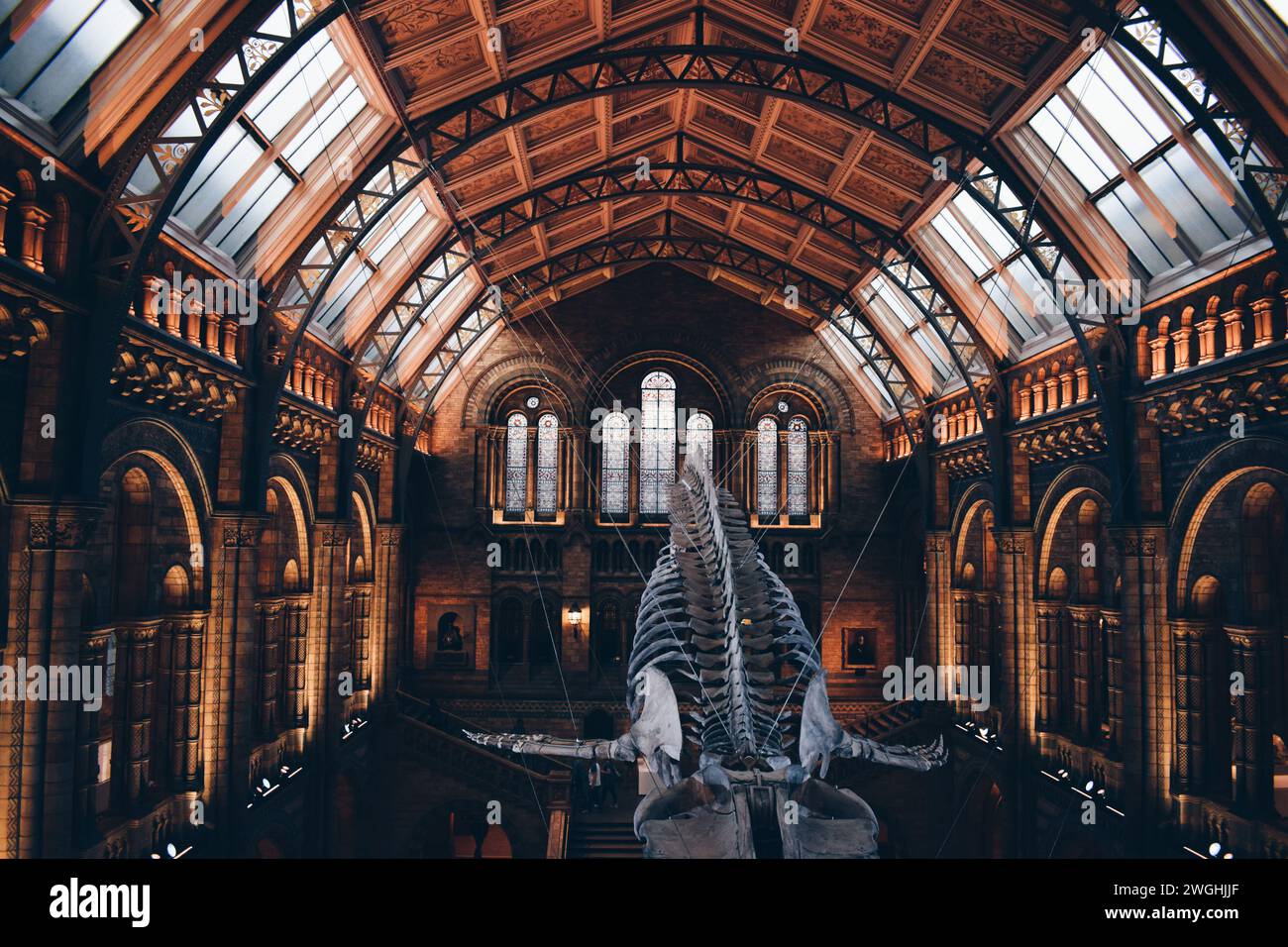 London Natural History Museum, in England on October 25, 2017 Stock ...