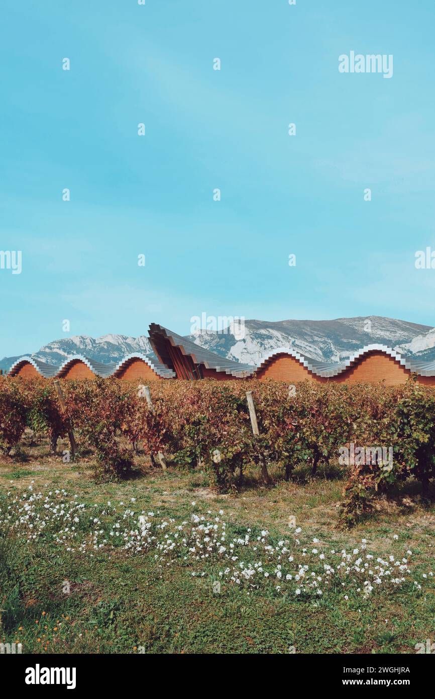 Famous wineries hi-res stock photography and images - Alamy