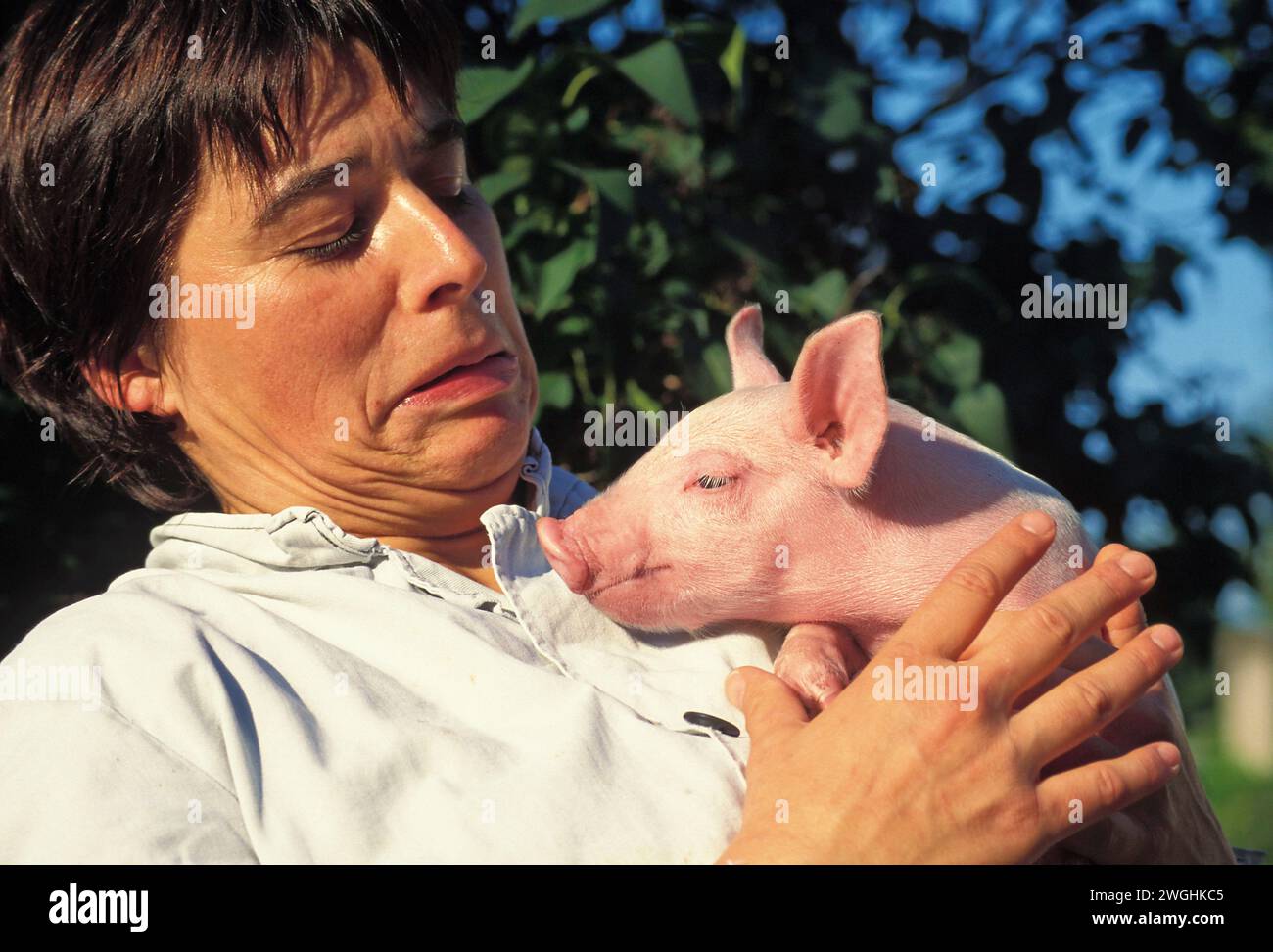 Young woman holds a piglet in her arms for the first time Stock Photo ...