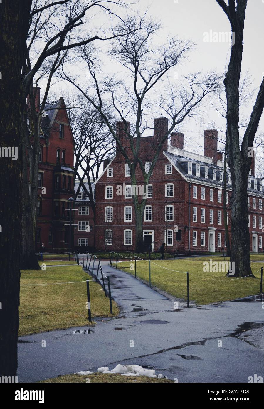 Boston university campus hi-res stock photography and images - Alamy