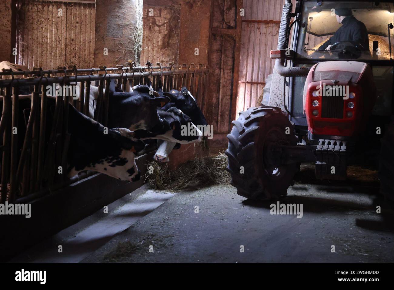 élevage agricole hi-res stock photography and images - Alamy