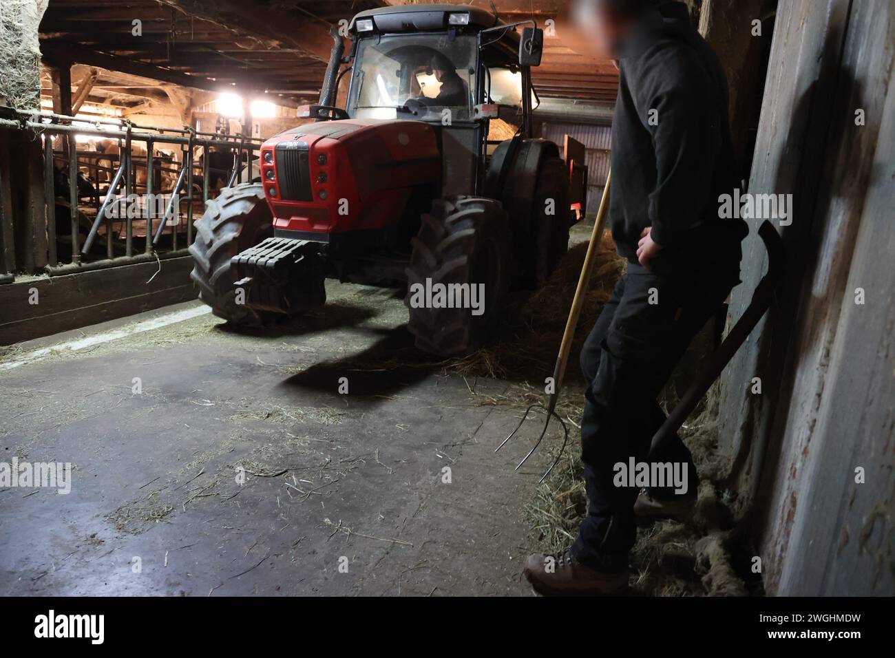 élevage agricole hi-res stock photography and images - Alamy