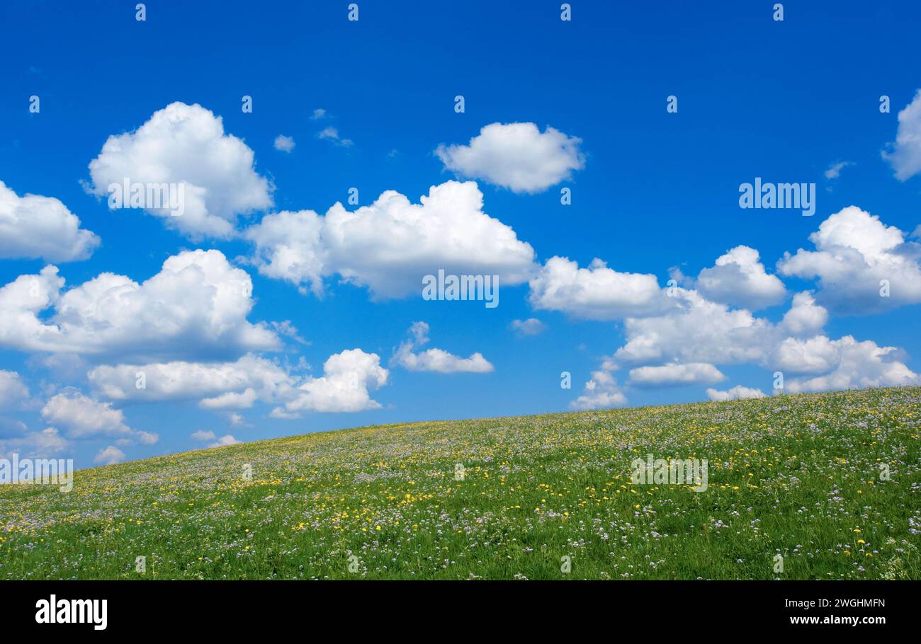 Spring landscapes blue sky hi-res stock photography and images - Alamy