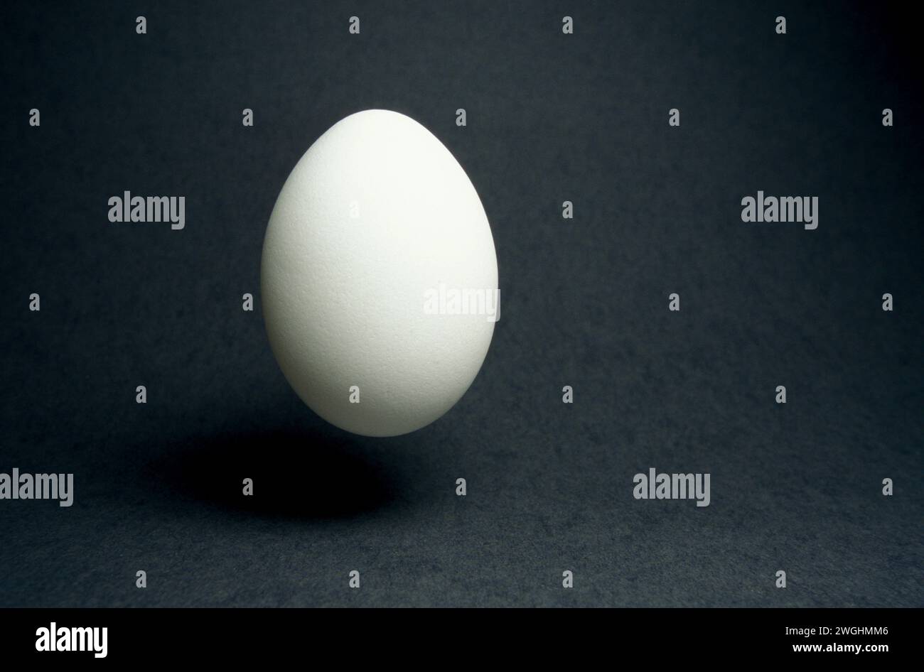 Single white egg hi-res stock photography and images - Alamy