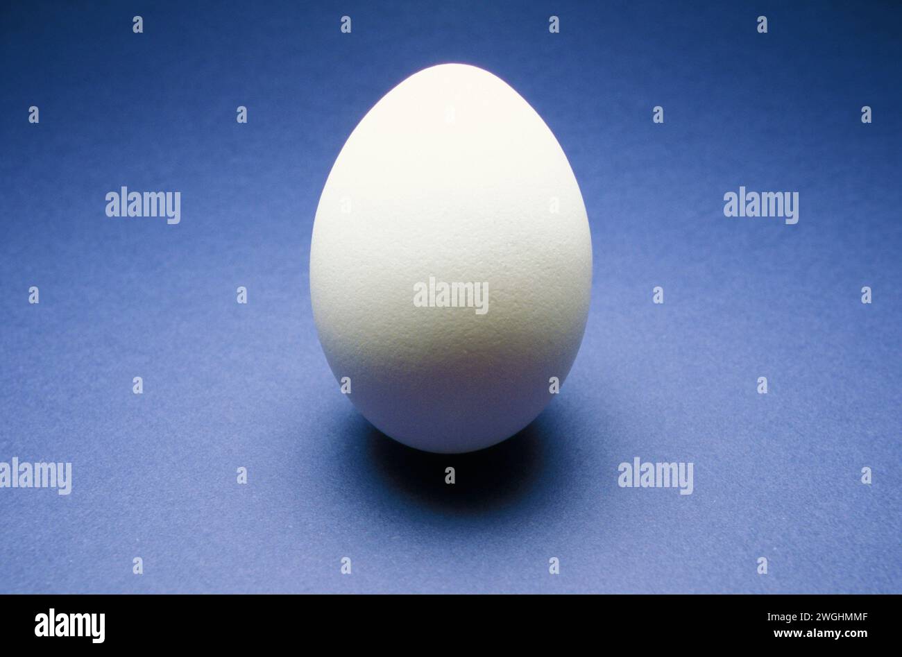 Single white egg hi-res stock photography and images - Alamy