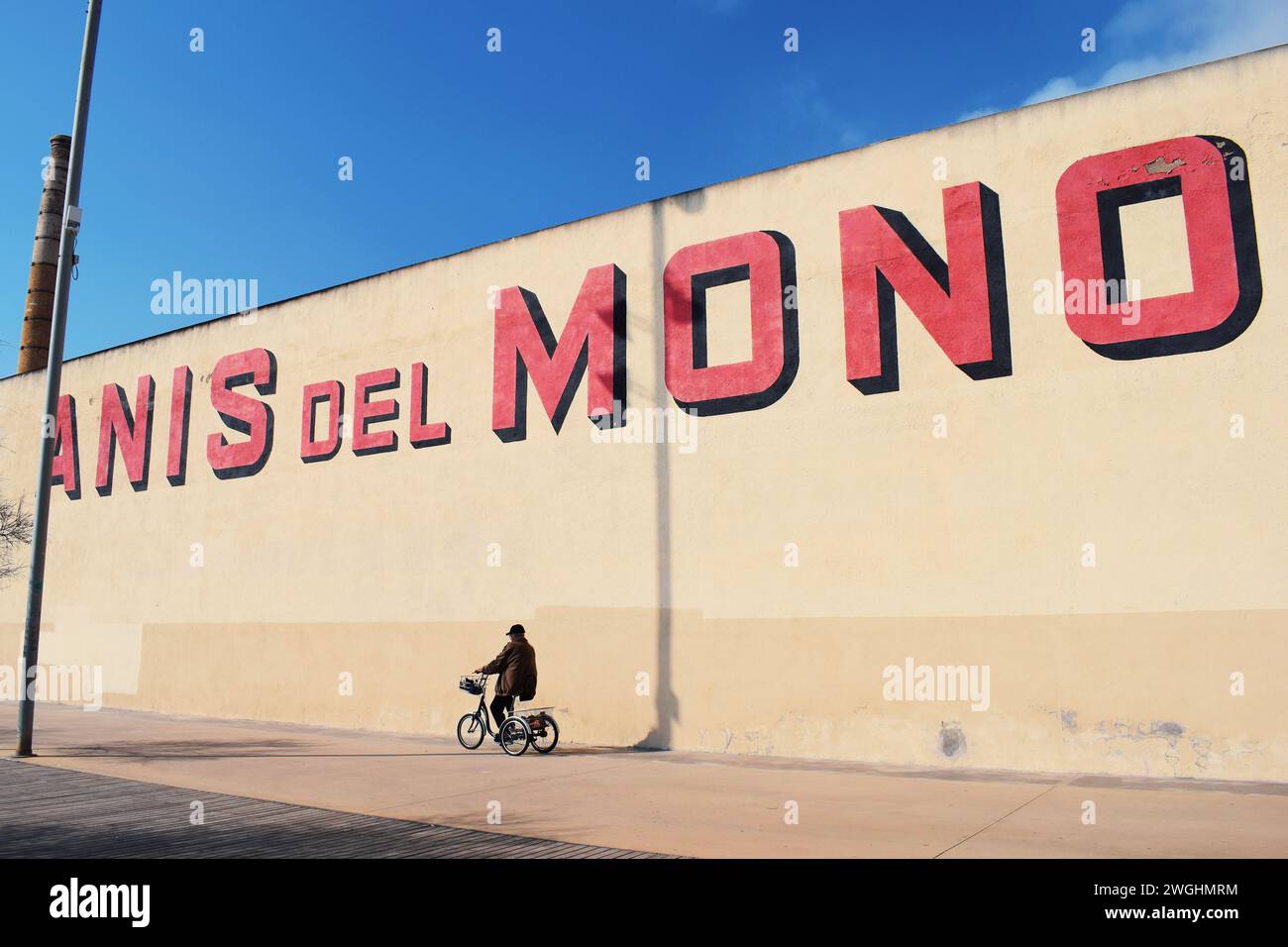 Anis del mono hi-res stock photography and images - Alamy