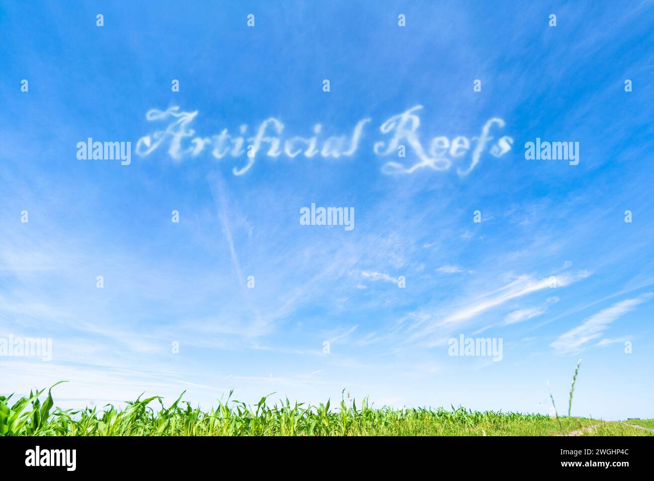 Artificial Reefs: Human-made structures placed underwater to enhance ...