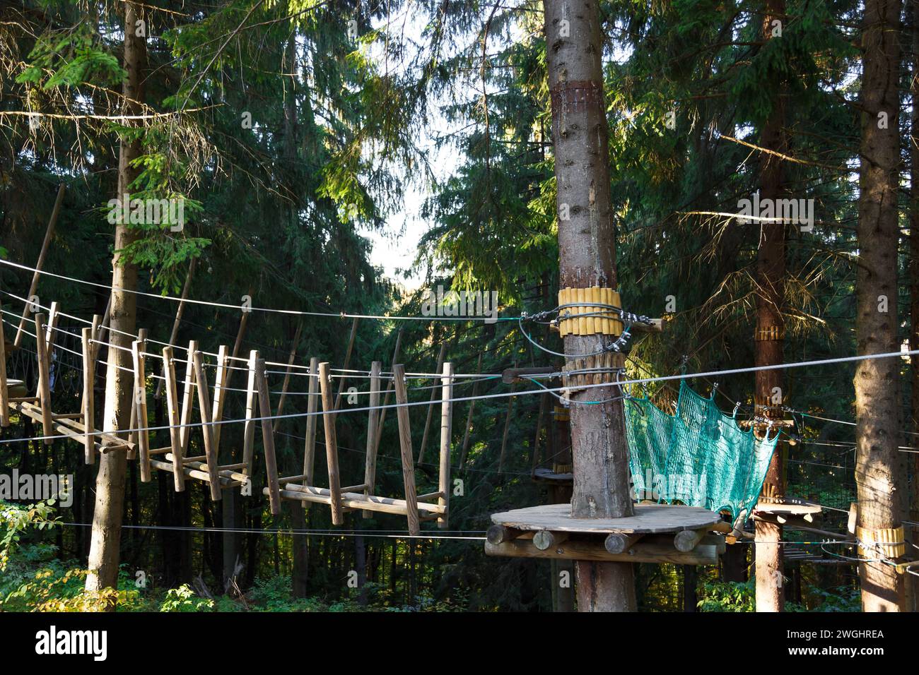 Rope-way in adventure park. Empty extreme rope park with ziplines ...