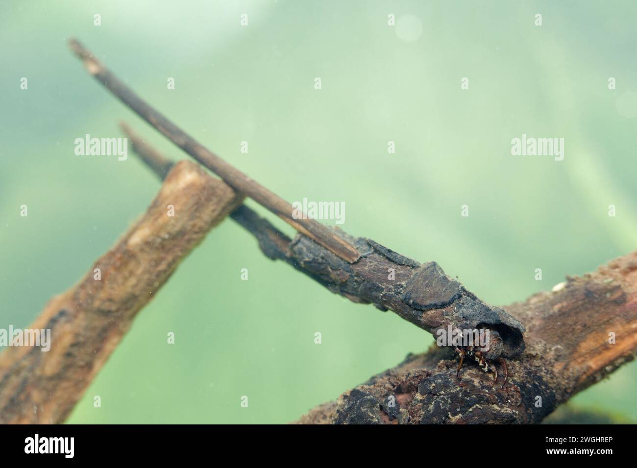Casemaker hi-res stock photography and images - Alamy