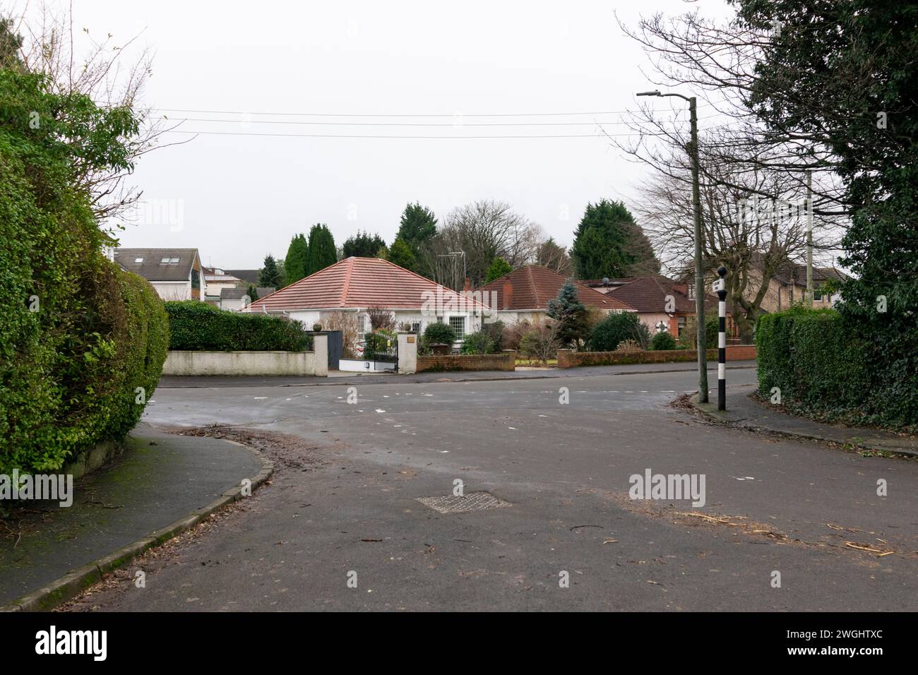 scenic suburban driveway with trees, street sign and lamp post Stock ...