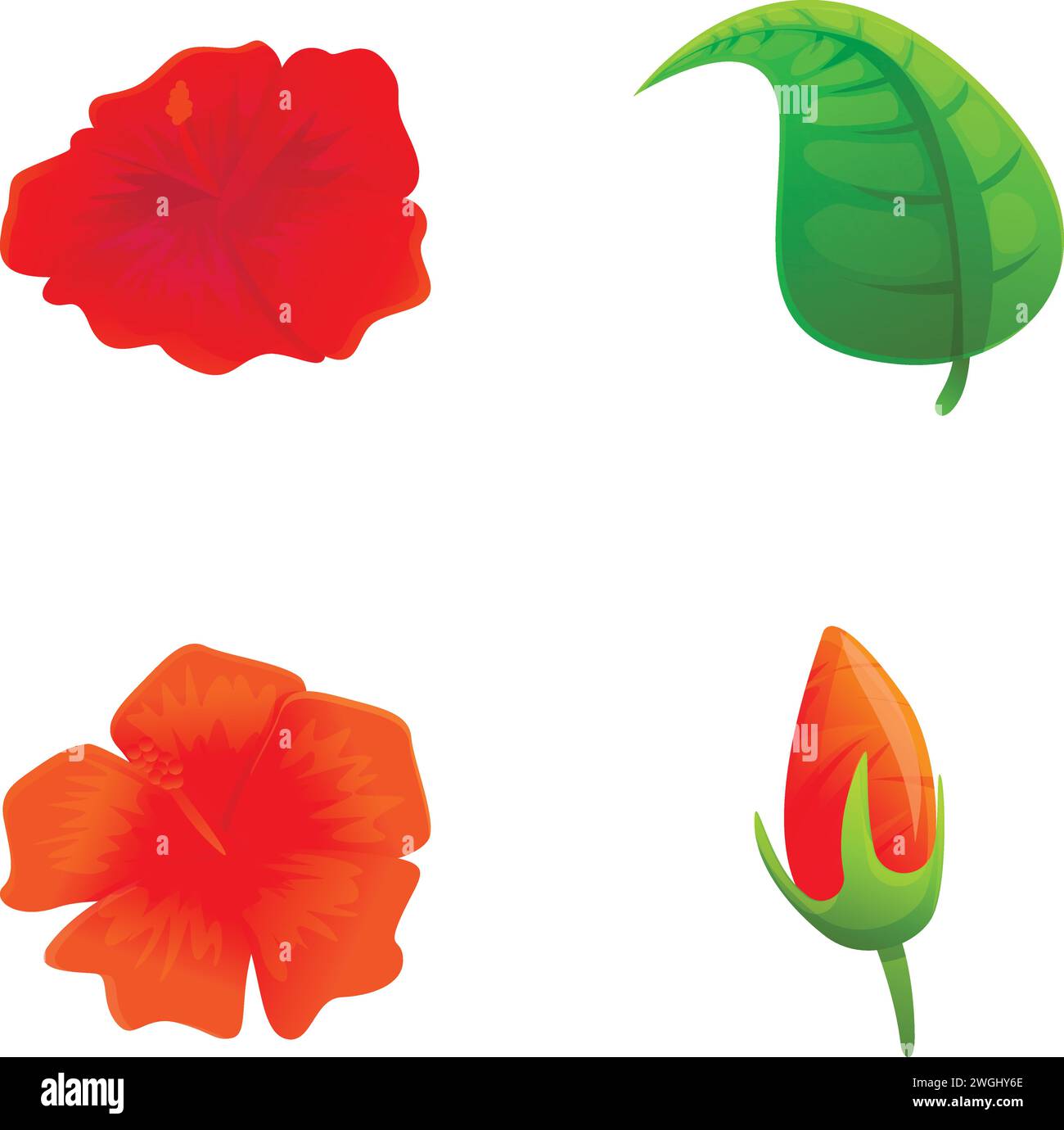 Hibiscus flower icons set cartoon vector. Blooming red hibiscus with ...
