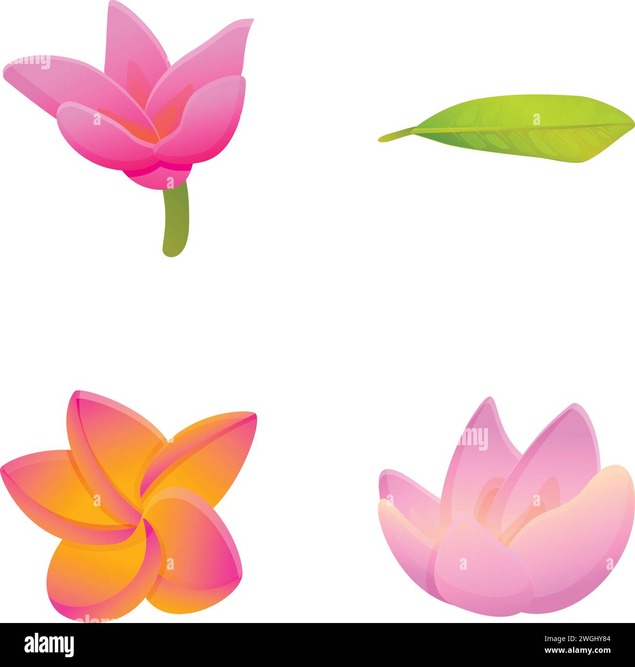 Botanic harmony Stock Vector Images - Alamy