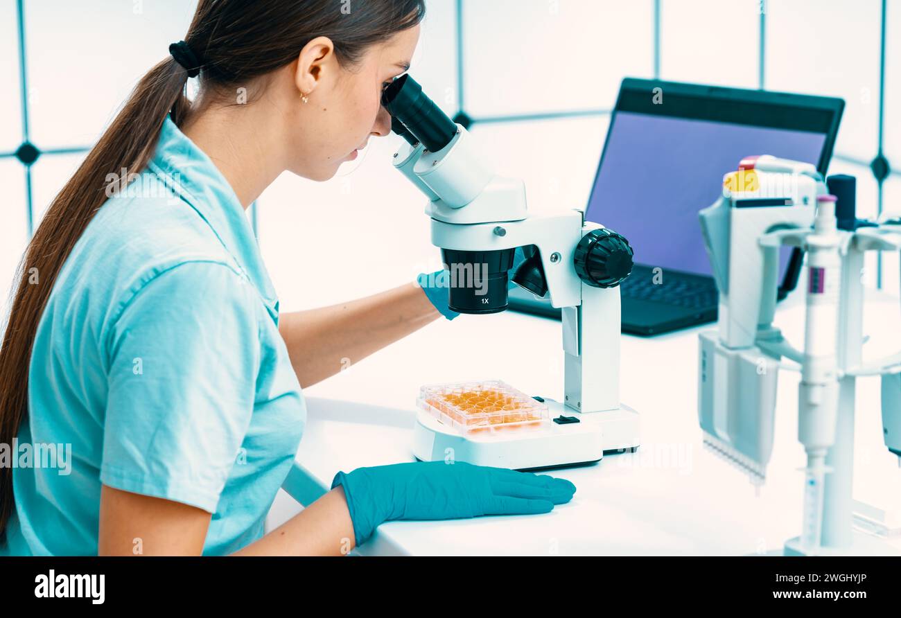 Female Scientist Conducting Scientific Experiment in Laboratory Stock ...