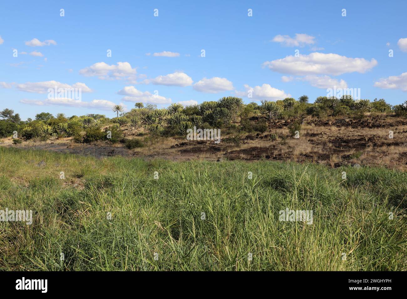 Tsendzeriver hi-res stock photography and images - Alamy