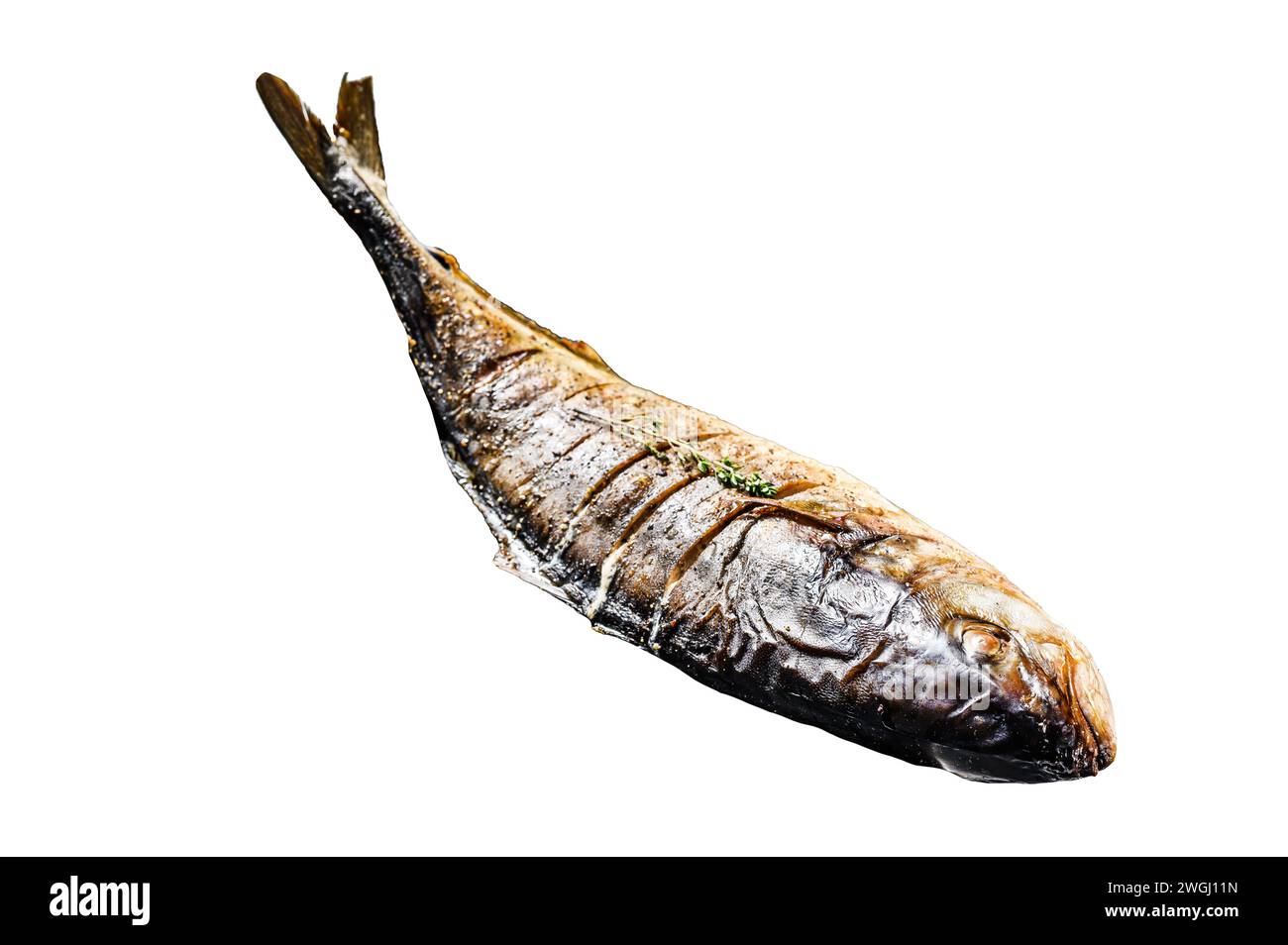 Baked Yellowtail, Japanese amberjack Isolated on white background. Top ...