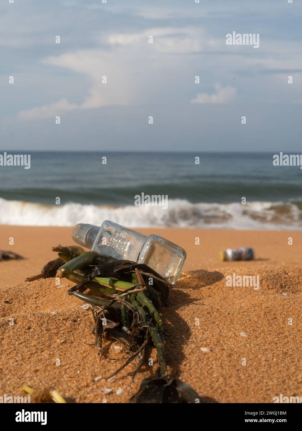 Trash on the beach. Eco issues in the world Stock Photo - Alamy