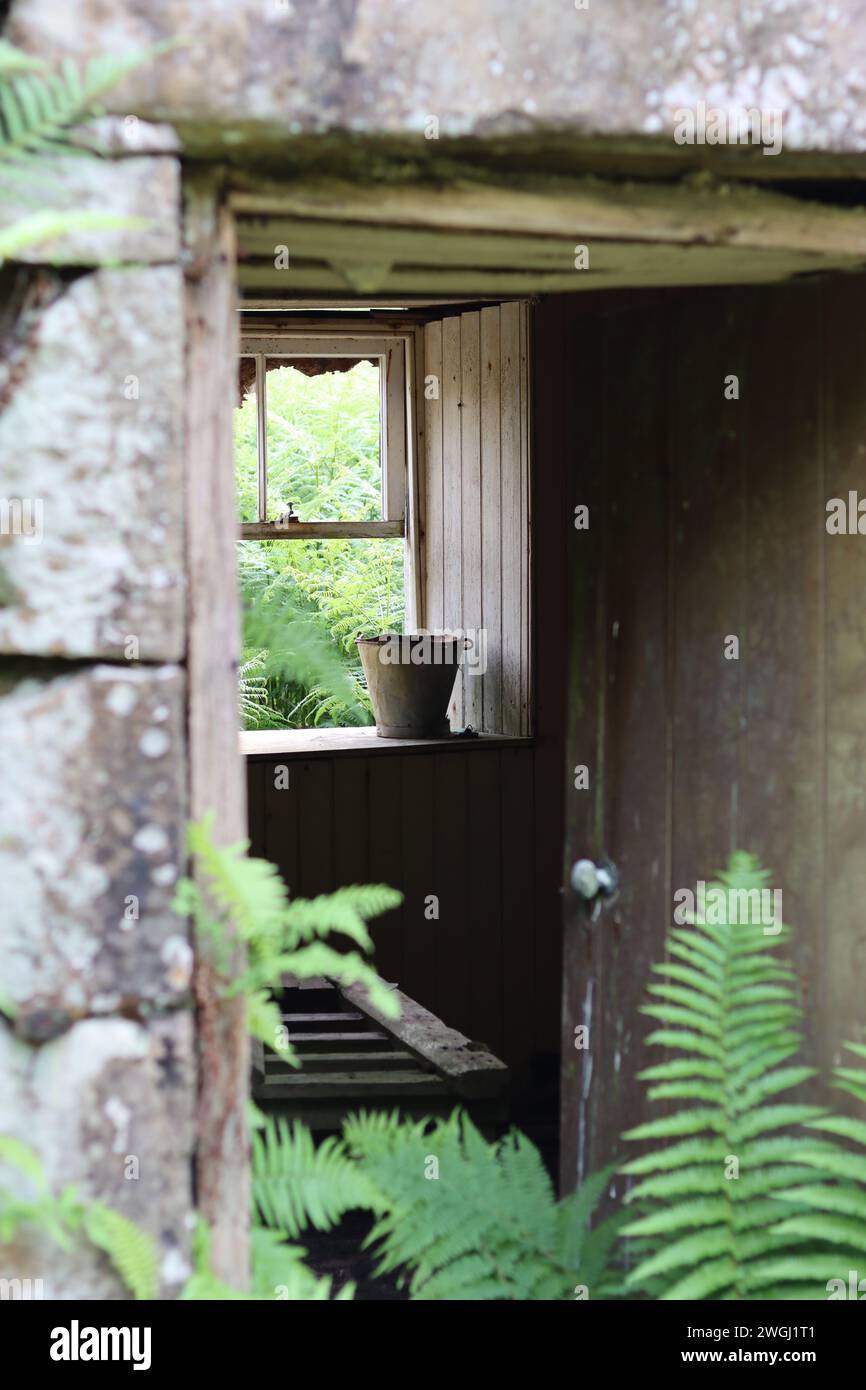 Old bucket standing in the window of an abandoned farm house, with ...