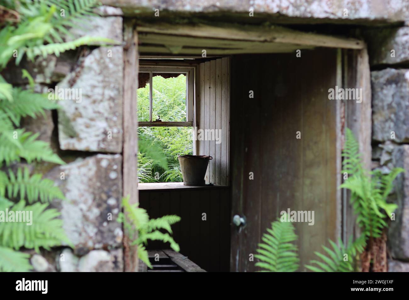 Old bucket standing in the window of an abandoned farm house, with ...